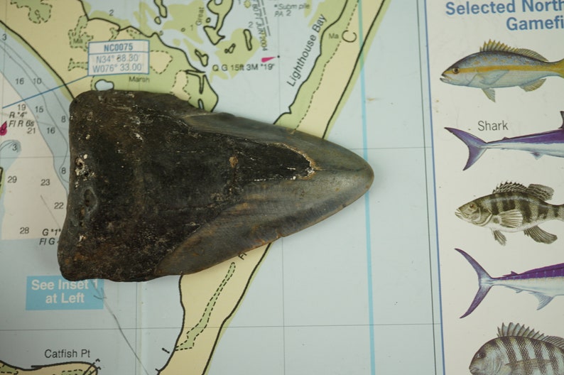 Paper, Party & Kids Science & Technology Crafting Craft Supplies ...