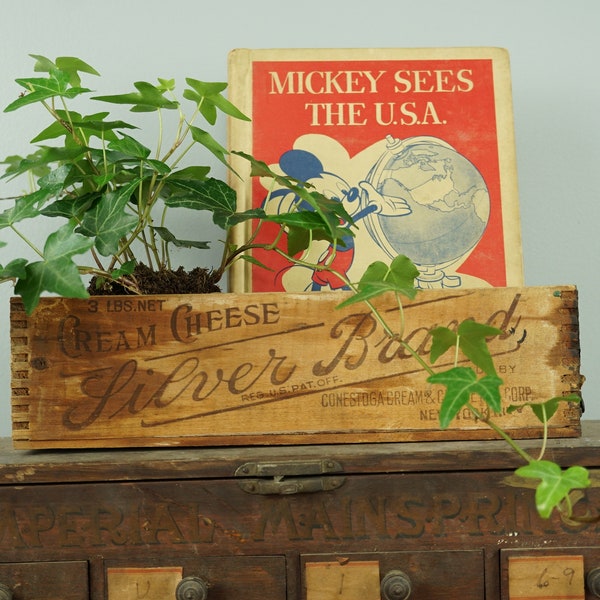 Vintage Cheese Box - Etsy