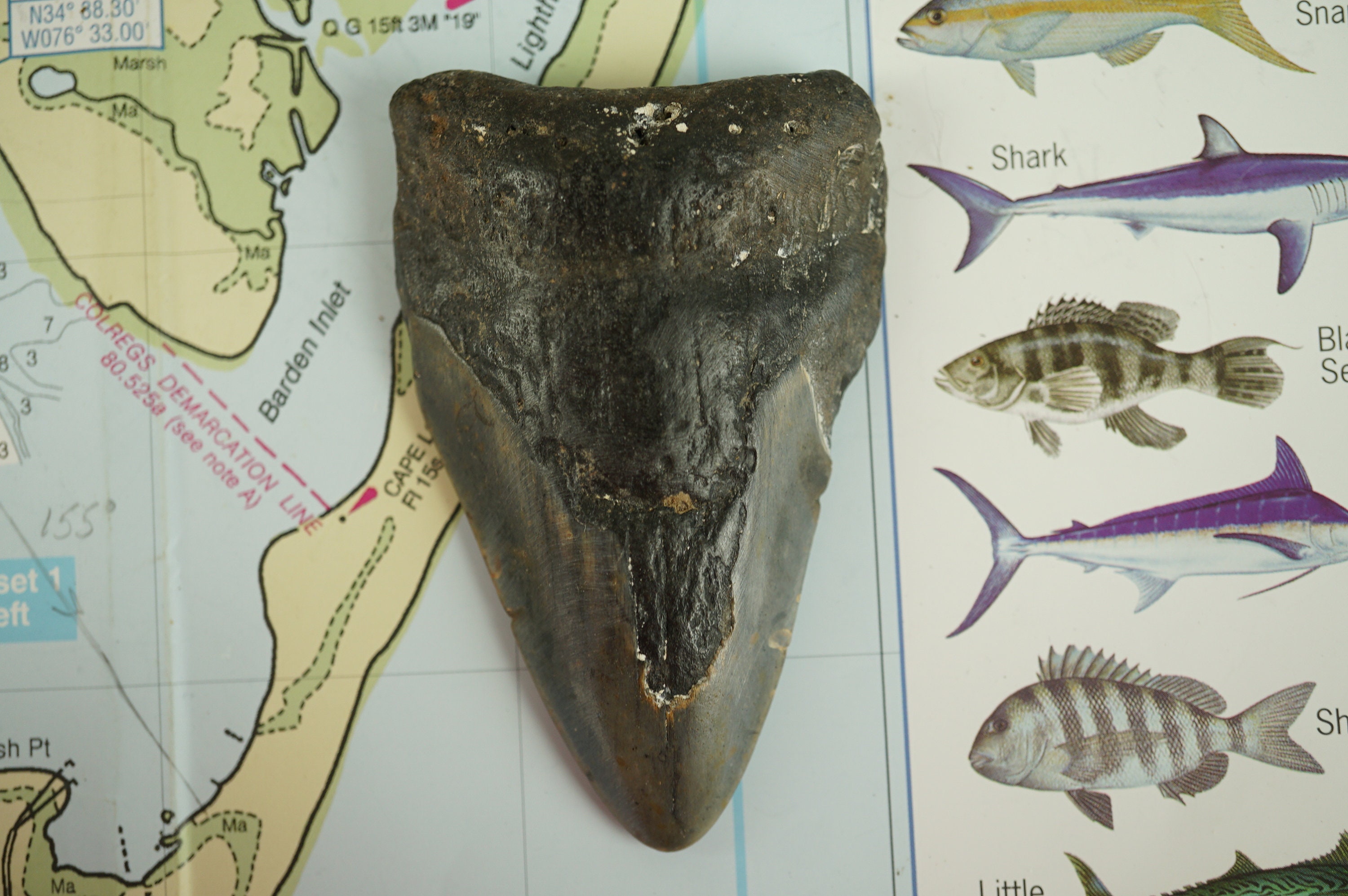 Paper, Party & Kids Science & Technology Crafting Craft Supplies ...