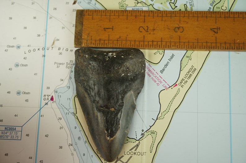 Paper, Party & Kids Science & Technology Crafting Craft Supplies ...