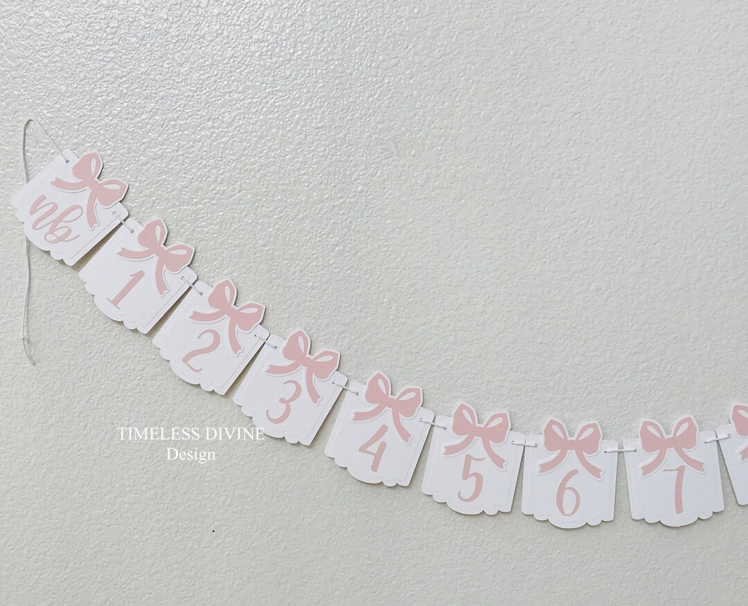 12 Month Bow Banner, Milestone Bow Banner, 12 Month Hair Bow Banner ...