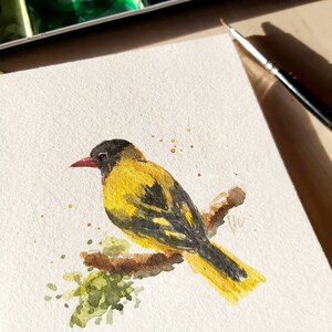 Set of 3 - Original Hand Painted Watercolor, Bird Art, Illustration ...