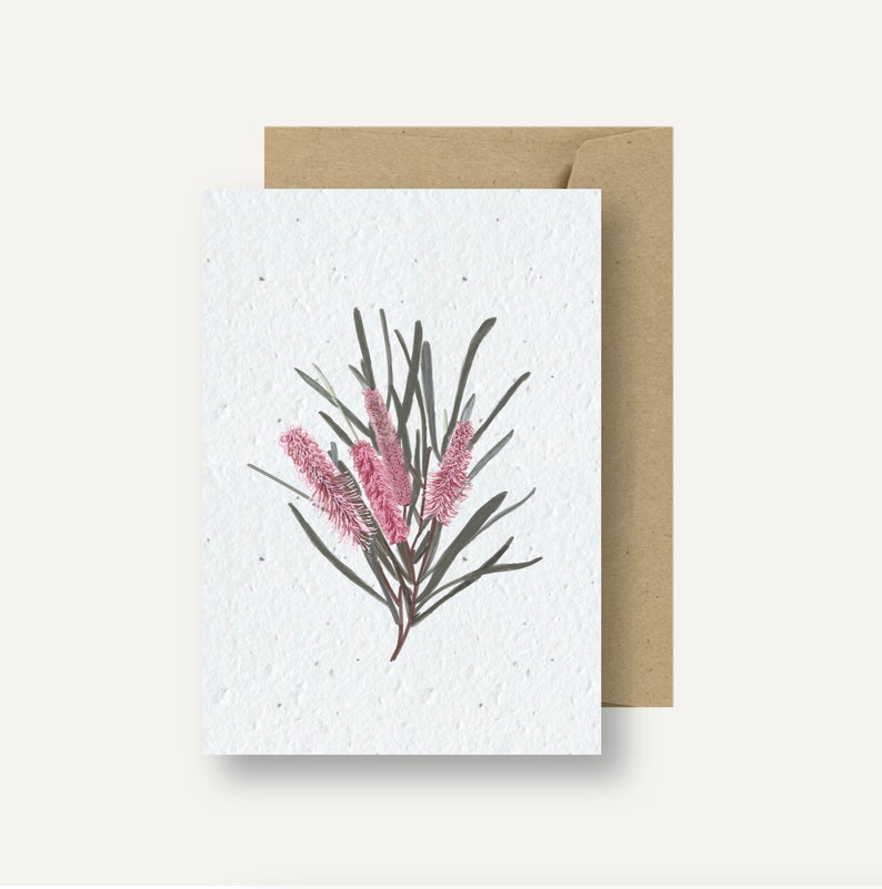 Seeded Card // Emu Tree // Plantable Card // Australian Native Seeds ...