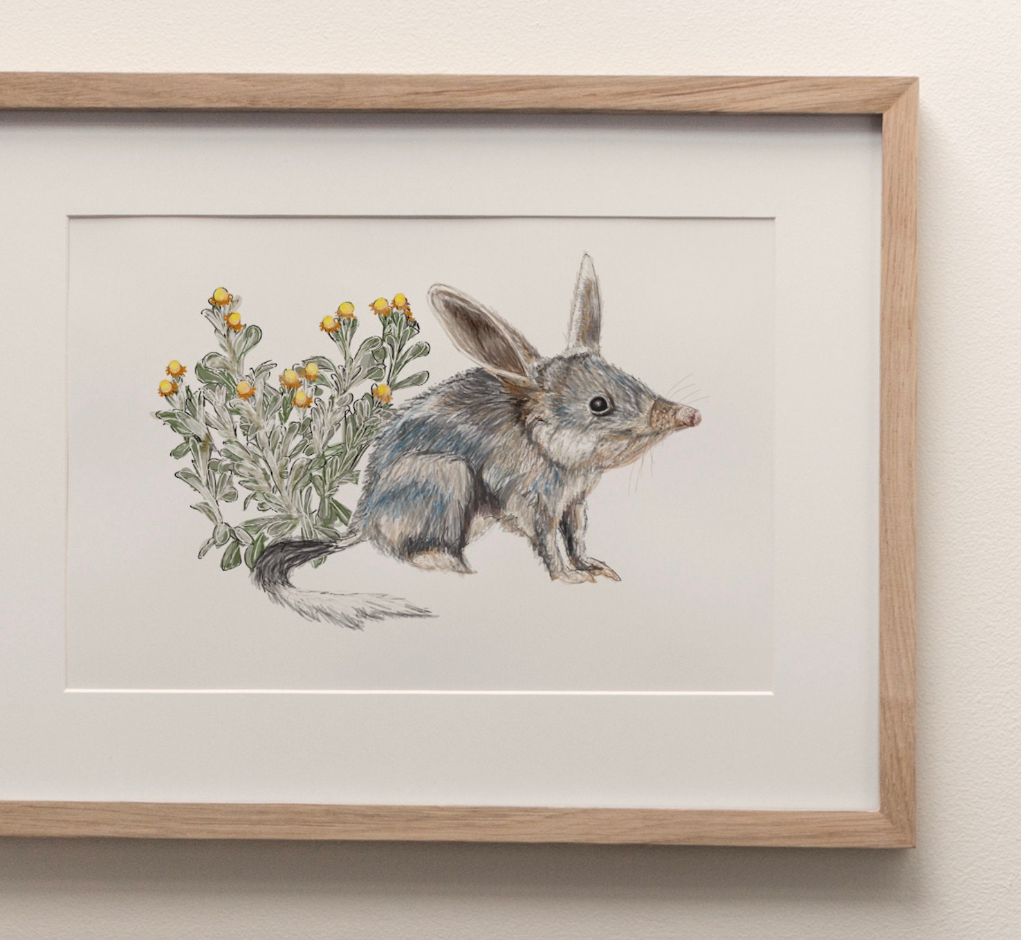 Australian Marsupial, Bilby Print, Bilby Illustration, Easter Bilby ...