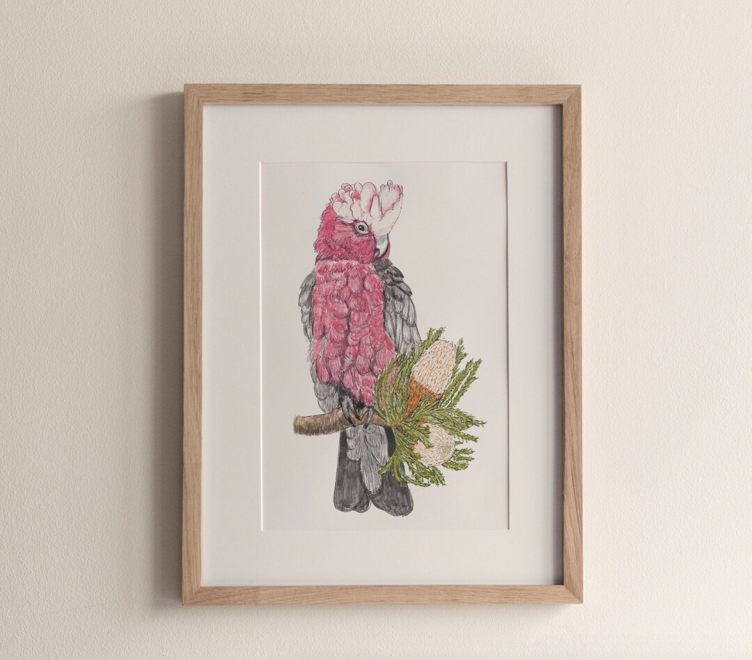 Digital Download, Galah, Printable, Print It Yourself, Colourful ...