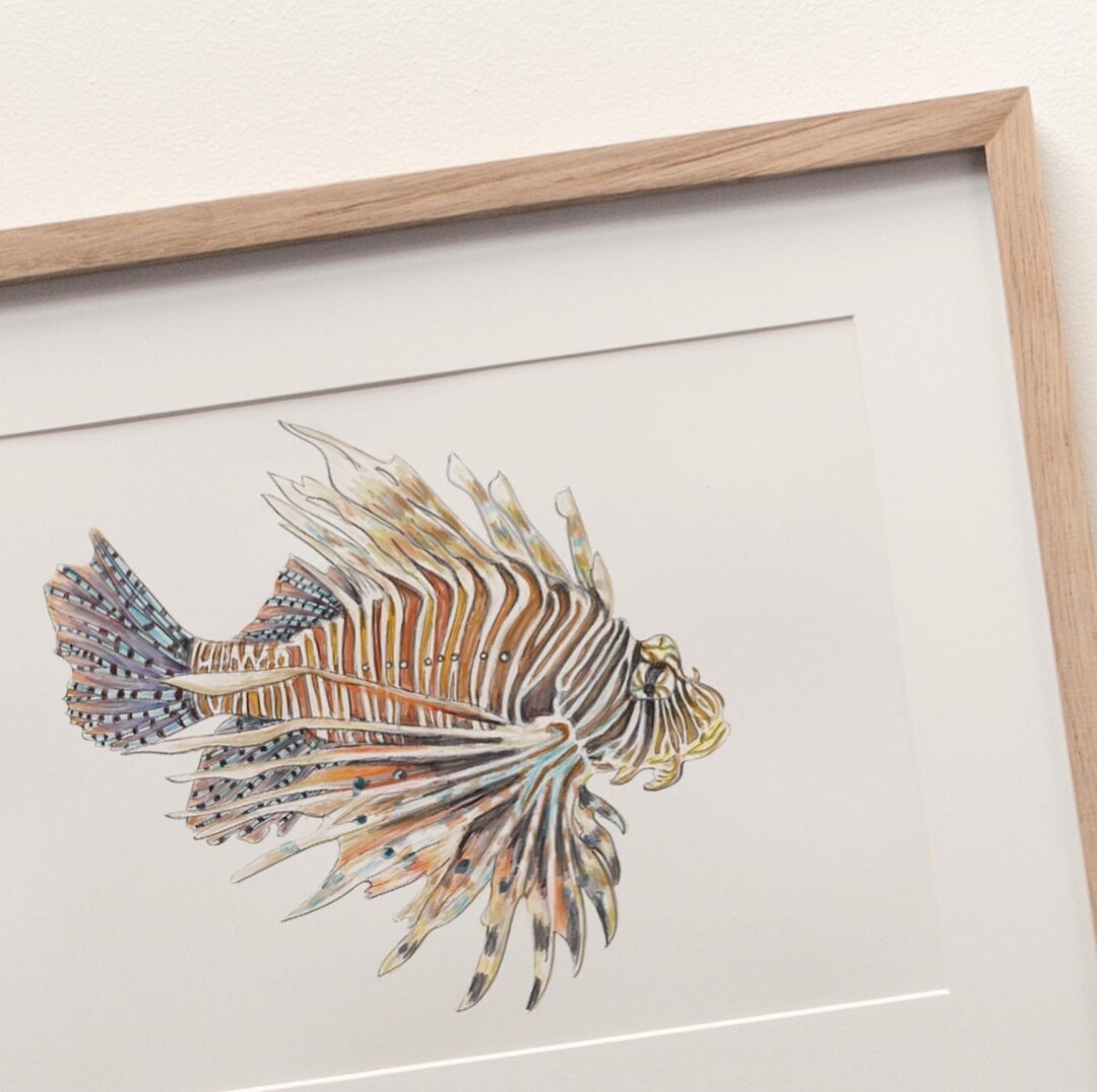 Lionfish Australian Reef Fish Australian Artist Neutral - Etsy