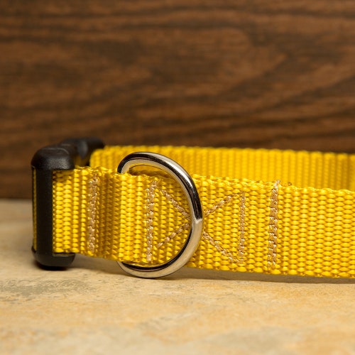 Yellow Dog Collar - Etsy