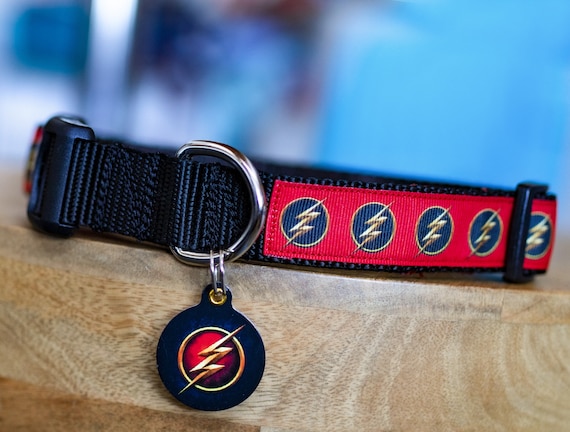 Matching Flash Pet ID Tag and Collar | Etsy