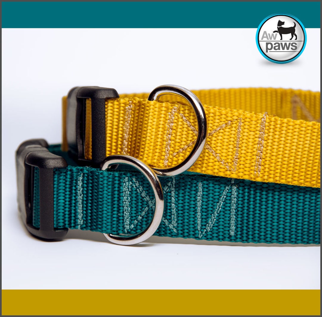 Solid Color Dog Collar- Teal or Yellow - Etsy