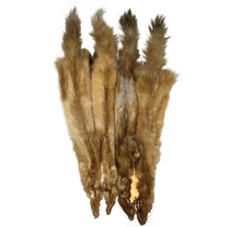 Glacier Wear Premium Label Russian Sable Pine Marten Fur Pelt Hide ...