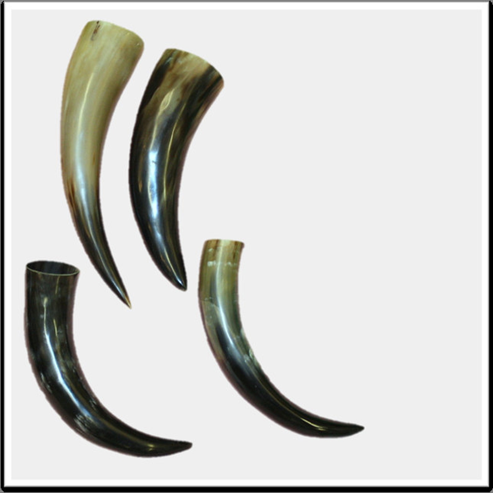 Glacier Wear Polished Buffalo Horn Cap Bff1610 - Etsy