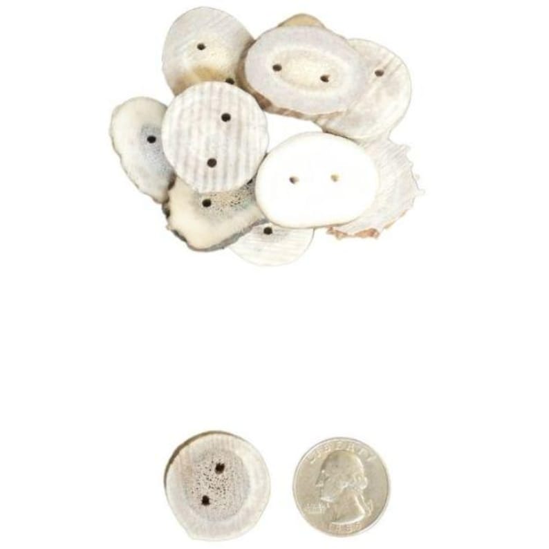 Glacier Wear Deer Antler Button - Quarter Size (QTY 6) - Etsy