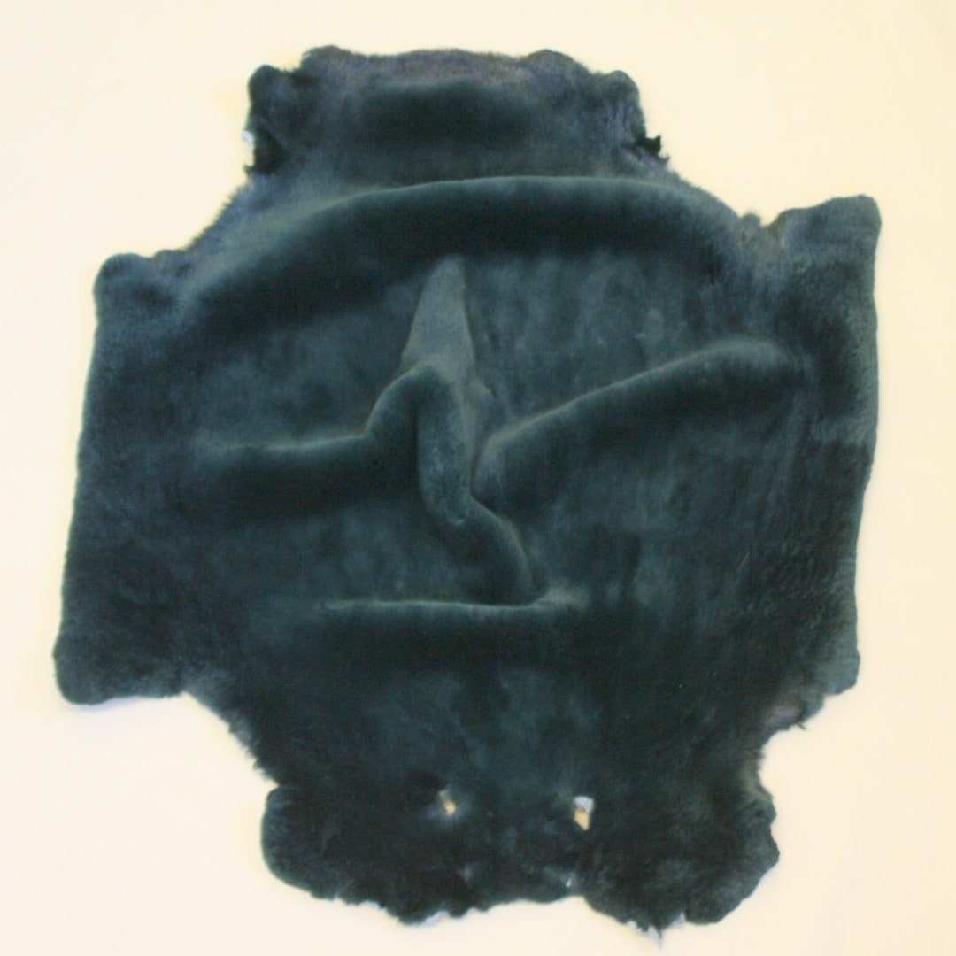 Glacier Wear Beaver Fur Pelt -sheared, Dyed Dark Green Bvr1130 - Etsy