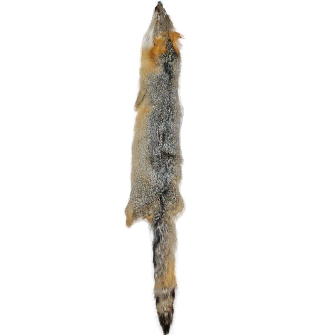 Glacier Wear Eastern Gray Fox Fur Pelt Fxx4000 - Etsy
