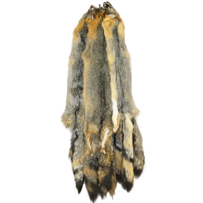 Glacier Wear Western Gray Fox Fur Pelt - Fxx4010 - Etsy