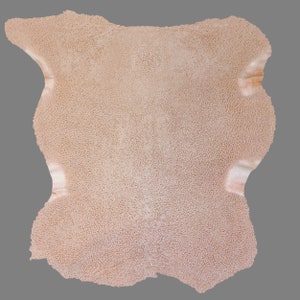 Glacier Wear Pale Blush Shearling Sheep Lamb Wool Shp7072 - Etsy