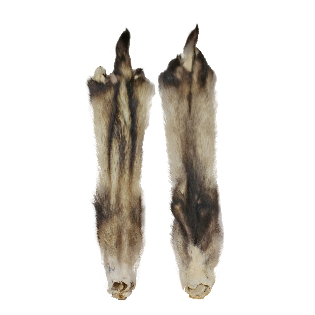 Glacier Wear Fitch Ferret Pole-cat Pelt Hide Fur - Mnk0999 - Etsy
