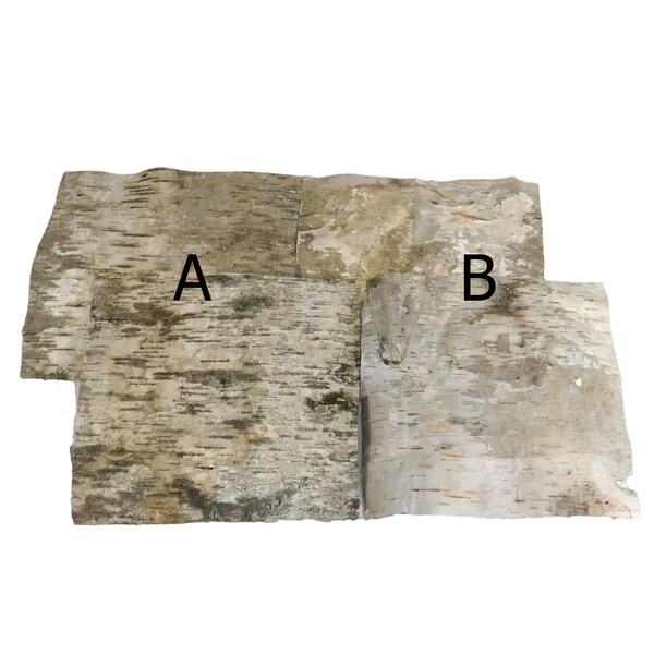 Birch Bark Sheets - Etsy