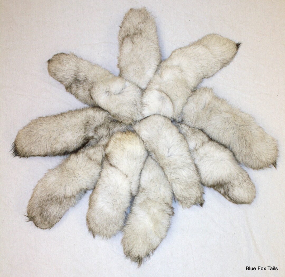 Glacier Wear Blue Fox Tails Natural Color Tail/keychain Fxx1720 - Etsy