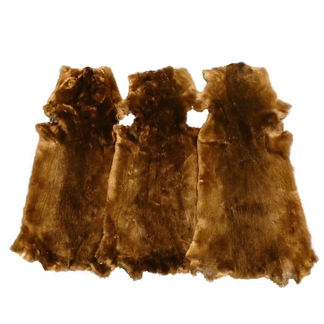 Glacier Wear Plucked and Sheared Otter Fur Pelt-ttr1031 - Etsy Italia