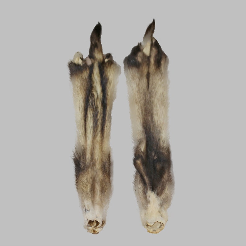Glacier Wear Fitch Ferret Pole-cat Pelt Hide Fur Mnk0999 - Etsy