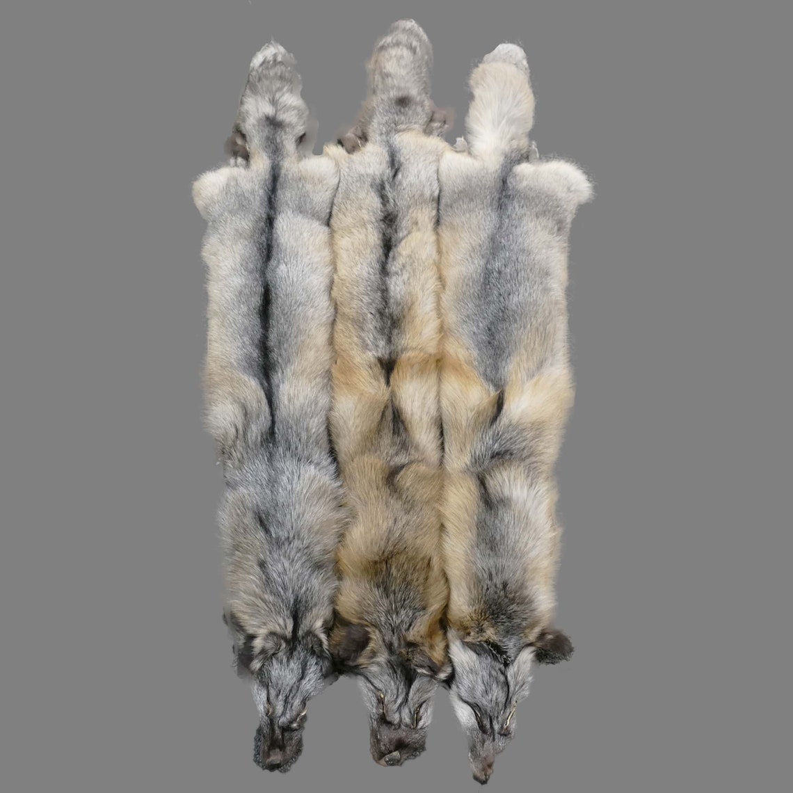 Glacier Wear Premium Label SAGA Mutation Fox Pelt-northern - Etsy