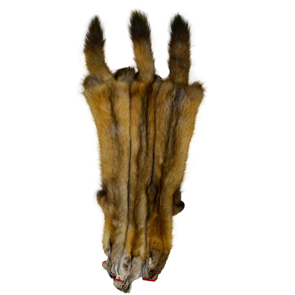 Glacier Wear Sable Pine Marten Fur Pelt Hide Pale Maine | Etsy