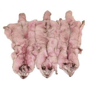 Glacier Wear Premium Label SAGA Blue Fox Pelt - Dyed Dusty Pink - Etsy