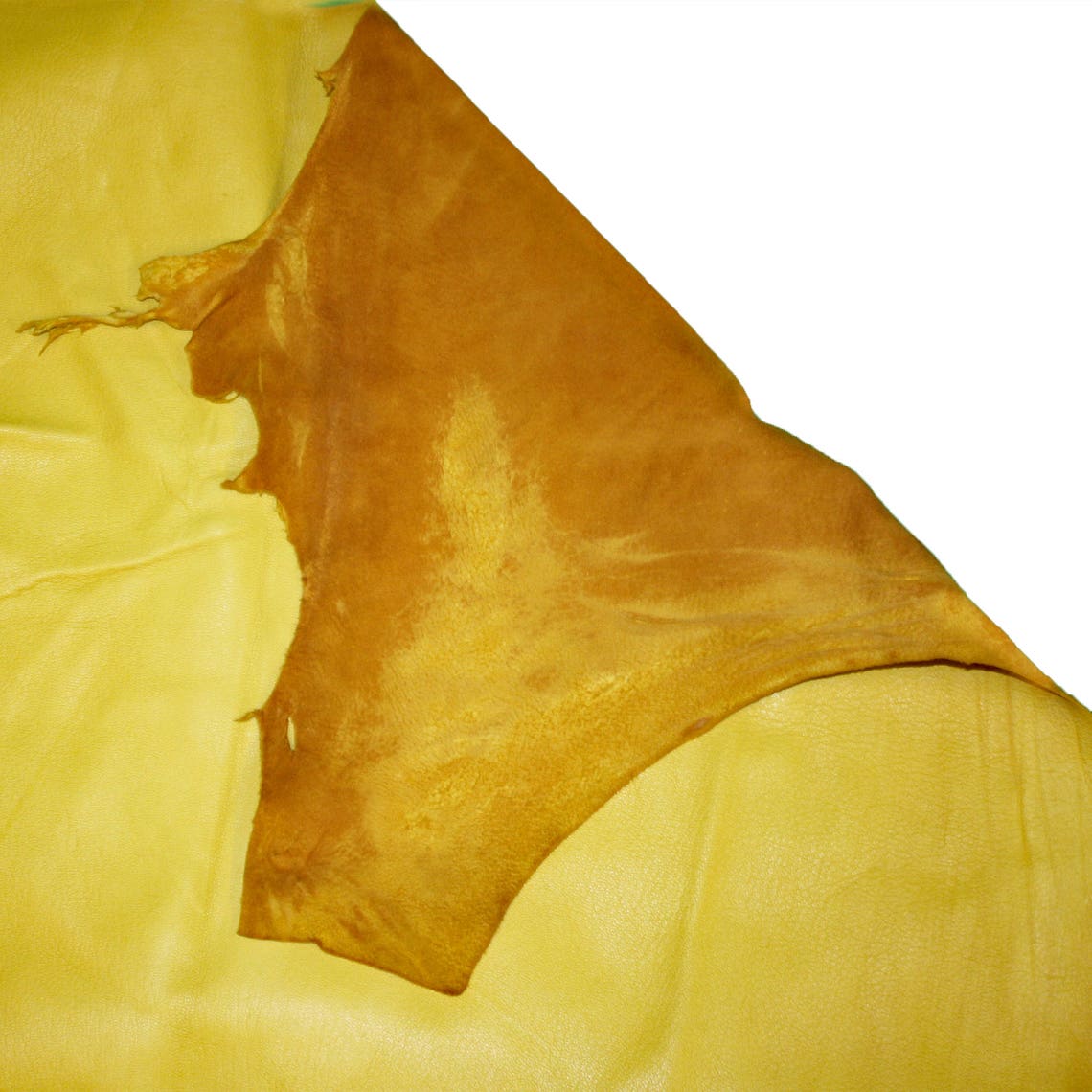 Glacier Wear Pre-cut Leather Buckskin Hide Gold Lth3001 | Etsy