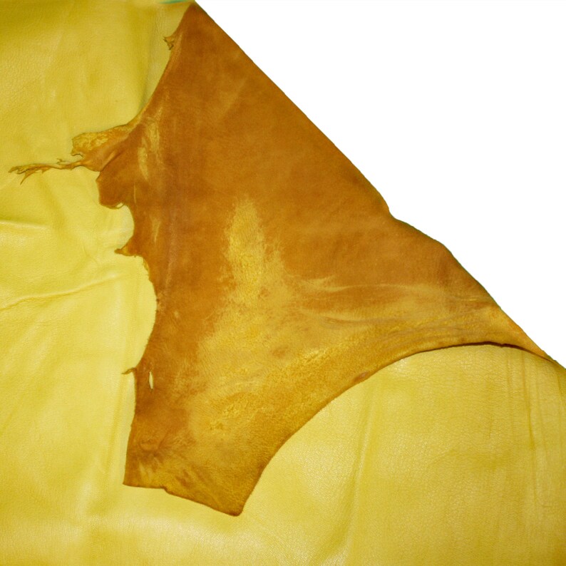 Glacier Wear Pre-cut Leather Buckskin Hide Gold Lth3001 - Etsy
