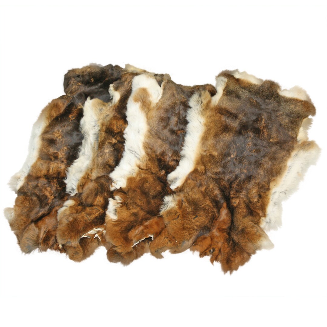 Glacier Wear Rex Rabbit Pelt Hide Fur Castor Rbt1070 - Etsy