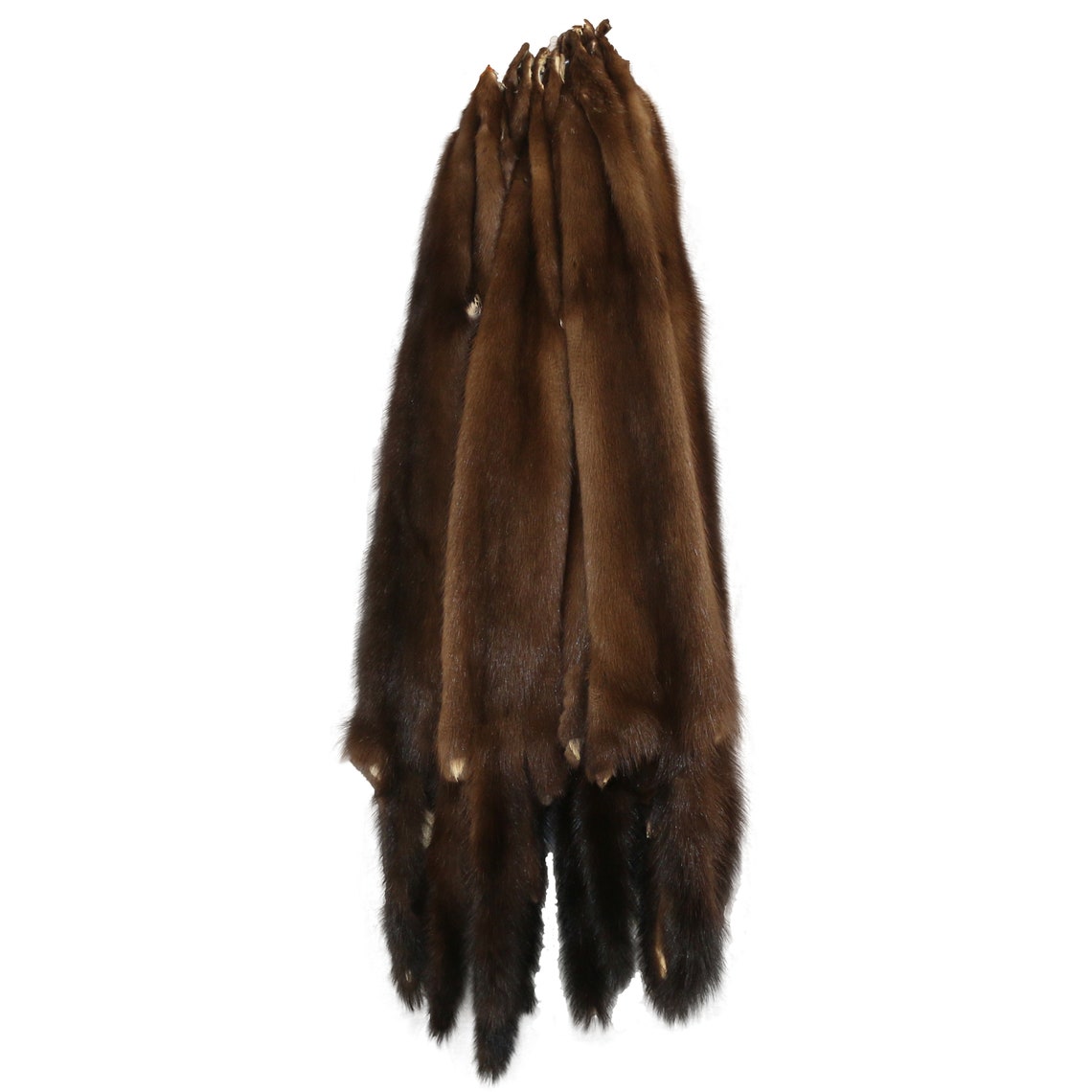 Glacier Wear Wild Male Mink Pelt Mnk1010 - Etsy