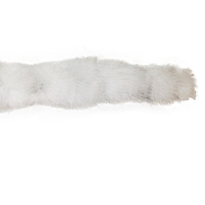 Glacier Wear Natural Blue Fox Fur Ruff 28 Inches - Etsy