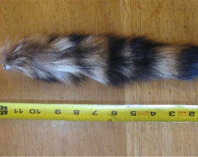 Raccoon Tails Raccoon Tail Keychain Taxidermy Keychain Raccoon Tail ...
