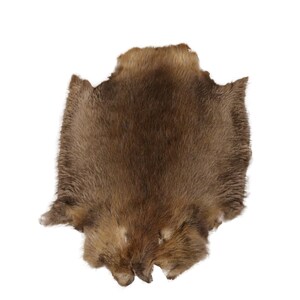 Glacier Wear Western Beaver Pelt - Bvr1000 - Etsy