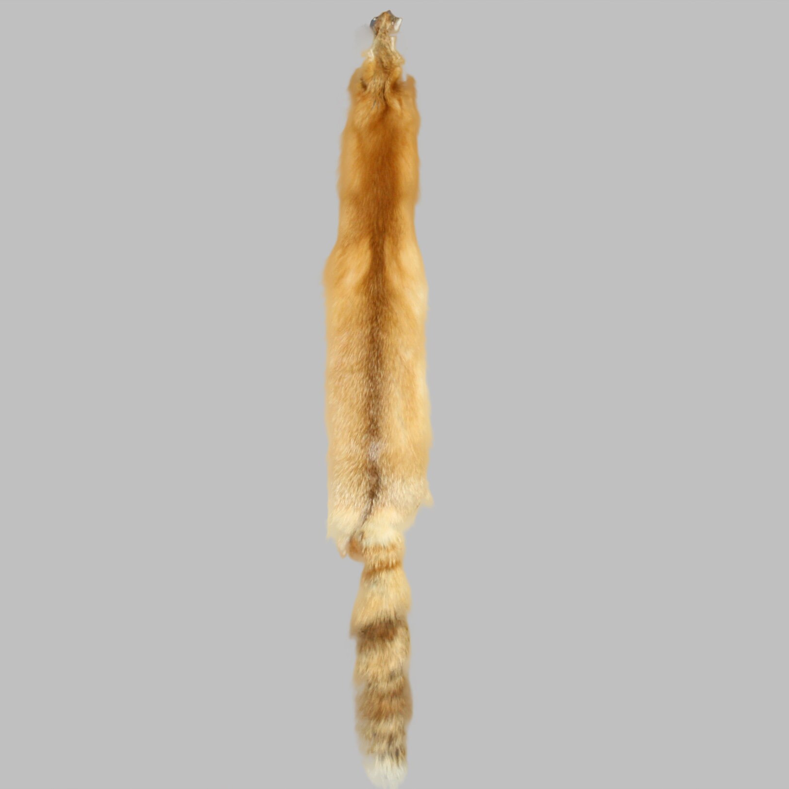 Glacier Wear Wild Red Fox Fur Pelt - Fxx7000 - Etsy