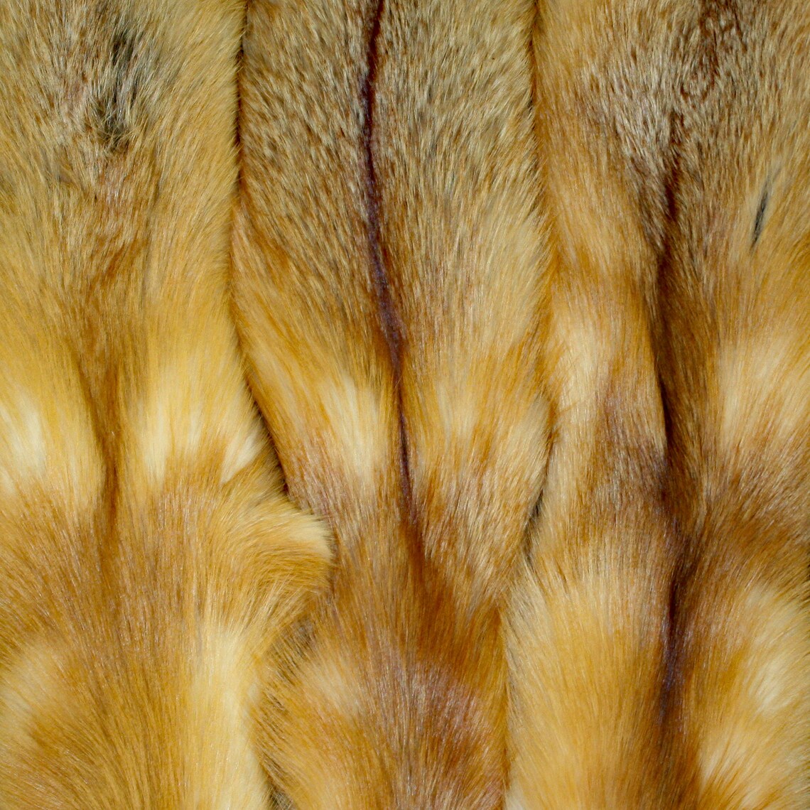 Glacier Wear Montana Wild Red Fox Pelt Hide Tanned Fur Fxx7051 | Etsy
