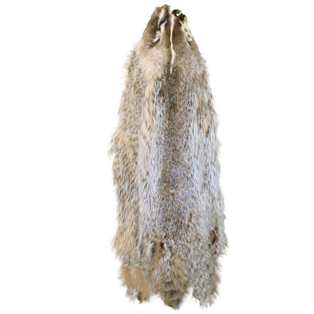 Glacier Wear Cased Skinned First Quality Badger Pelt Hide Fur Bgr1005 ...