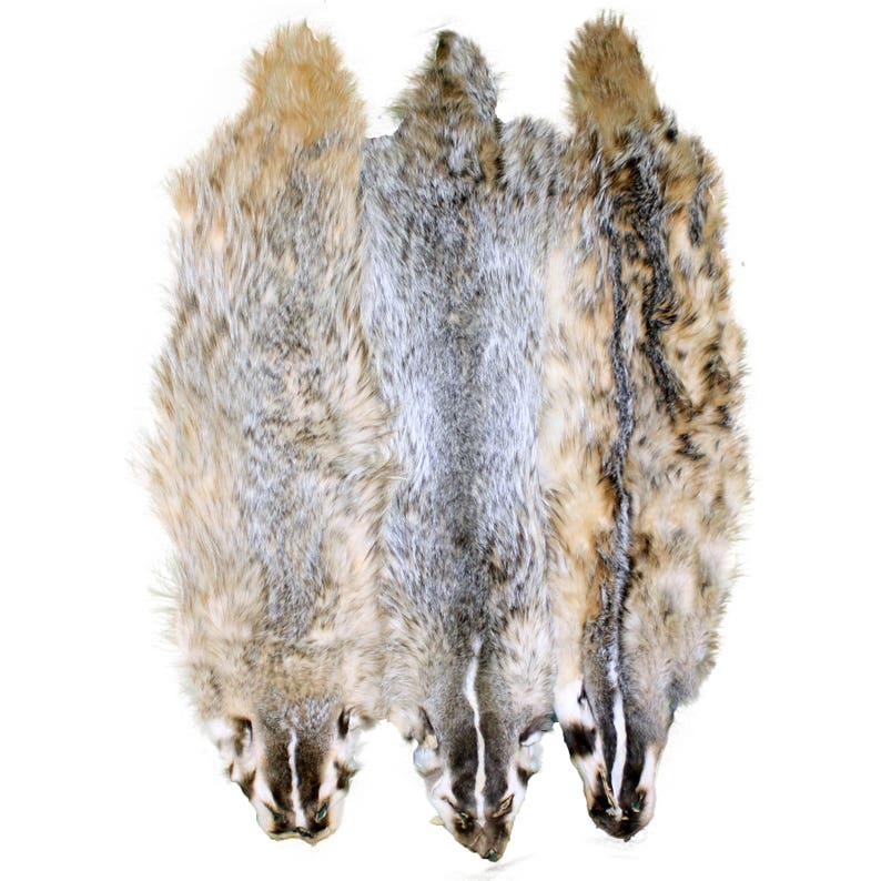 Glacier Wear Cased Skinned First Quality Badger Pelt Hide Fur | Etsy