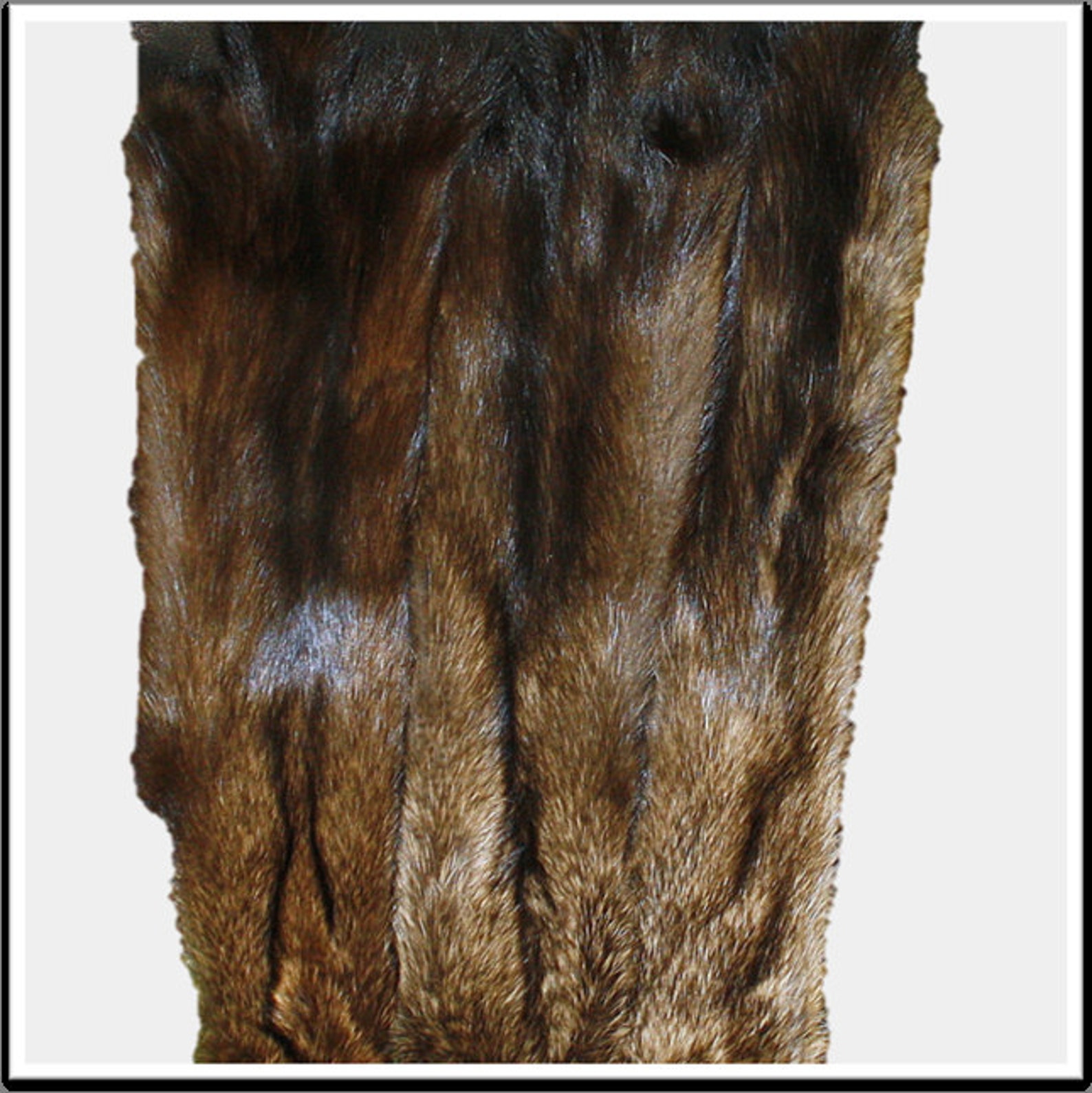 Glacier Wear Male Fisher Pelt Hide Fur - Fsr1000 - Etsy