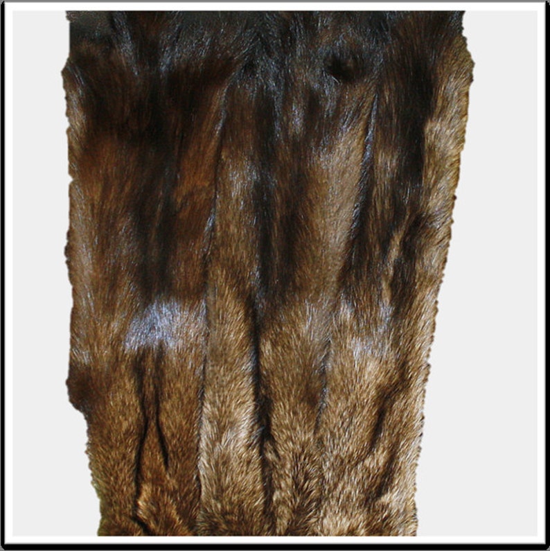 Glacier Wear Male Fisher Pelt Hide Fur Fsr1000 - Etsy