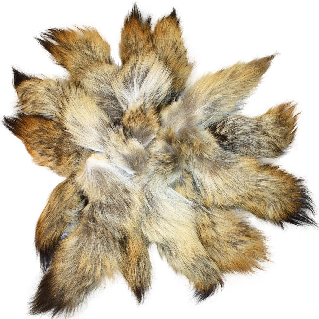 Glacier Wear Coyote Tails - Cty1605 - Etsy