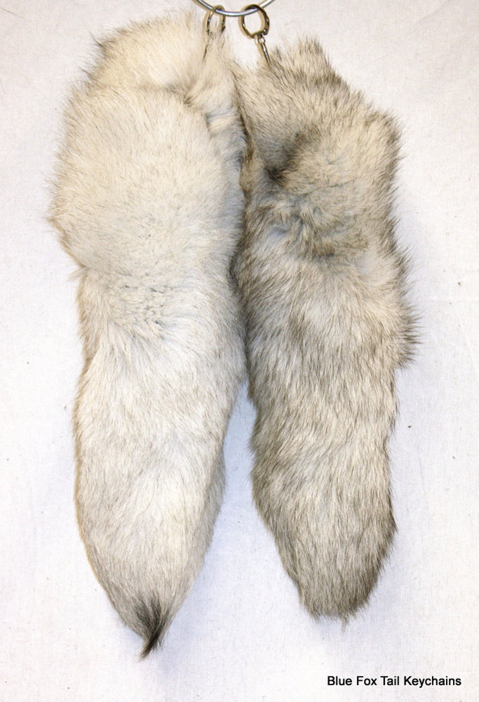 Blue Fox Tails Natural Color Tail And/or Tail Keychains - Etsy