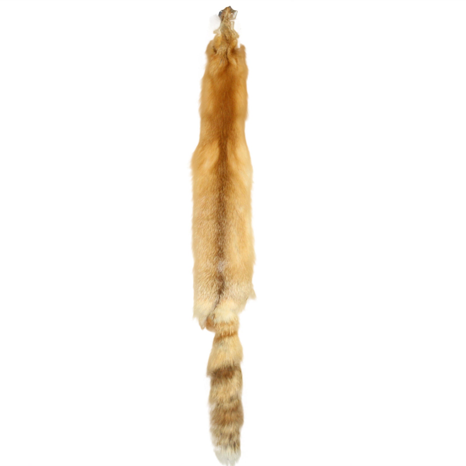 Glacier Wear Wild Red Fox Fur Pelt - Fxx7000 - Etsy