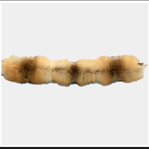 Glacier Wear Golden Island Fox Fur Ruff -fxx105 - Etsy