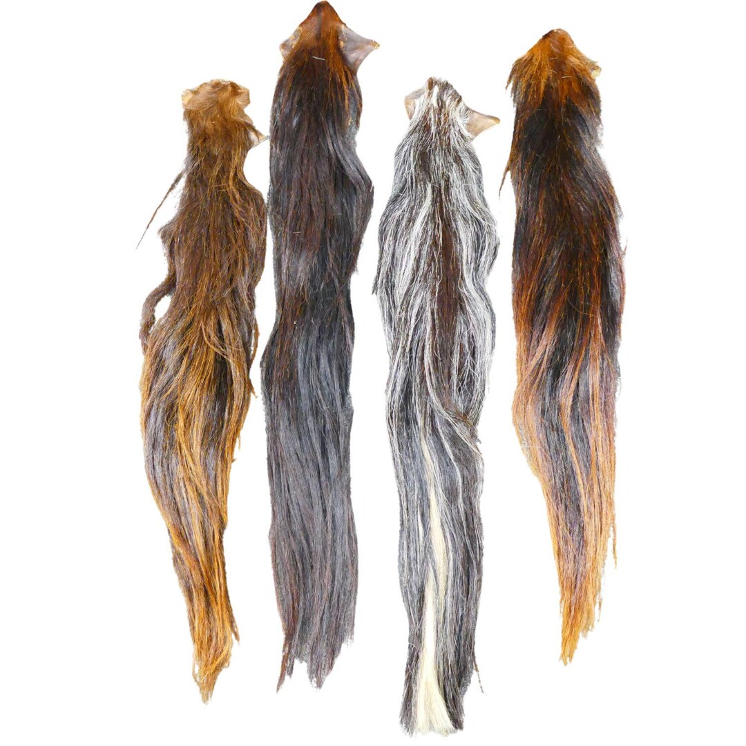 Glacier Wear Genuine Horse Tail Hair Hrs1604 - Etsy