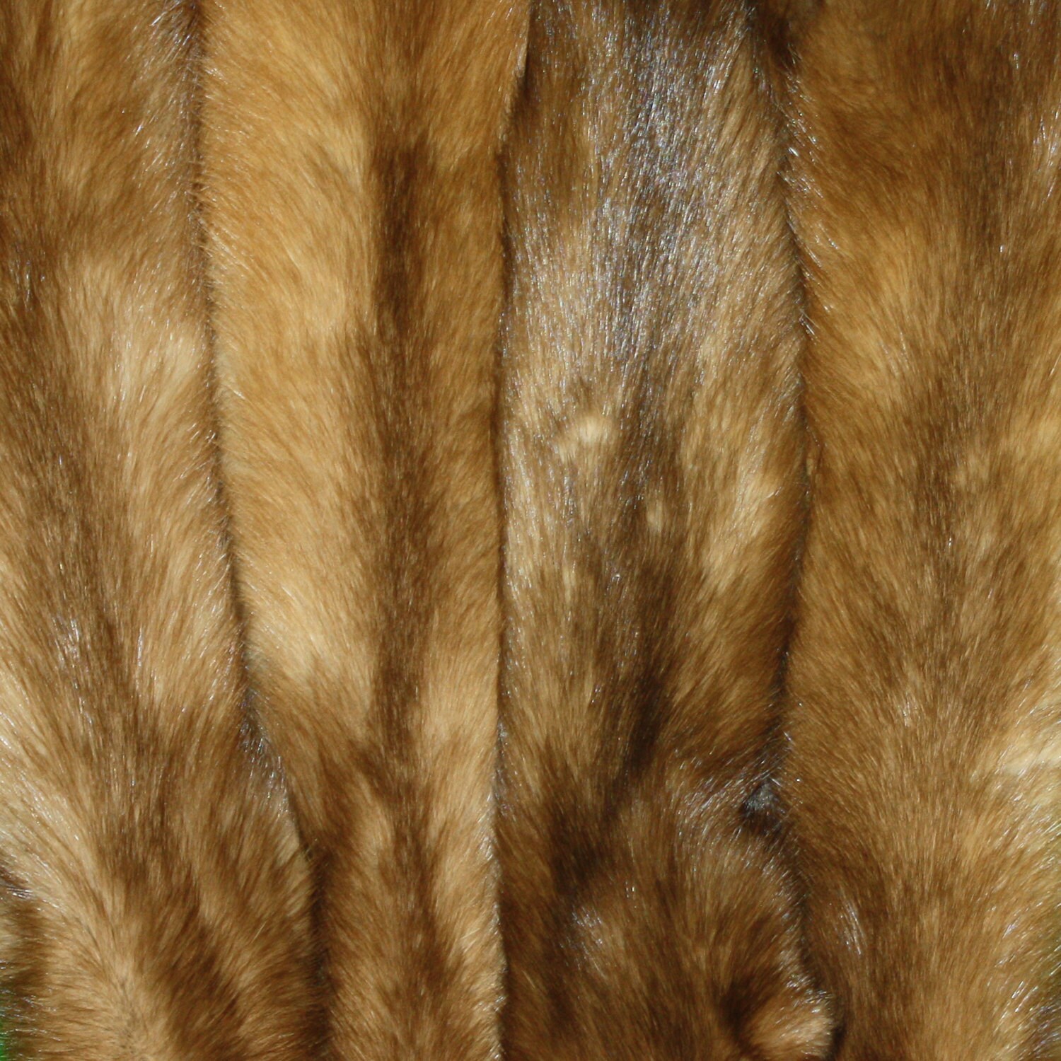 Glacier Wear Premium Label Russian Sable Pine Marten Fur Pelt Hide ...