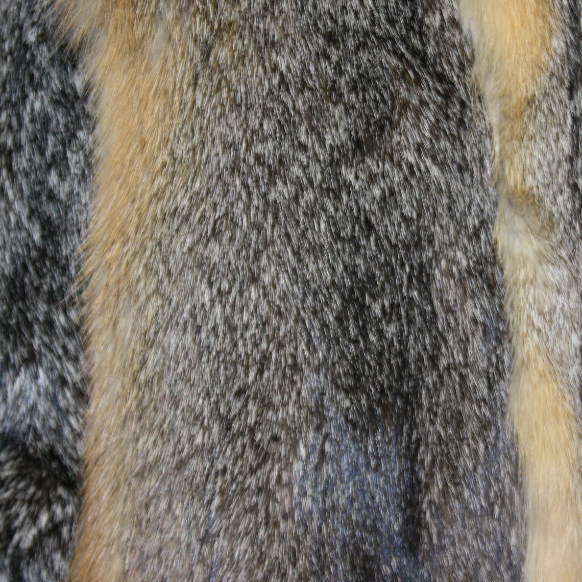 Glacier Wear Eastern Gray Fox Fur Pelt - Fxx4000 - Etsy