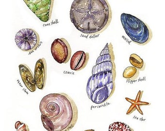 Blue Crab Watercolor Illustrated Art Print/ Beach Kitchen Art | Etsy