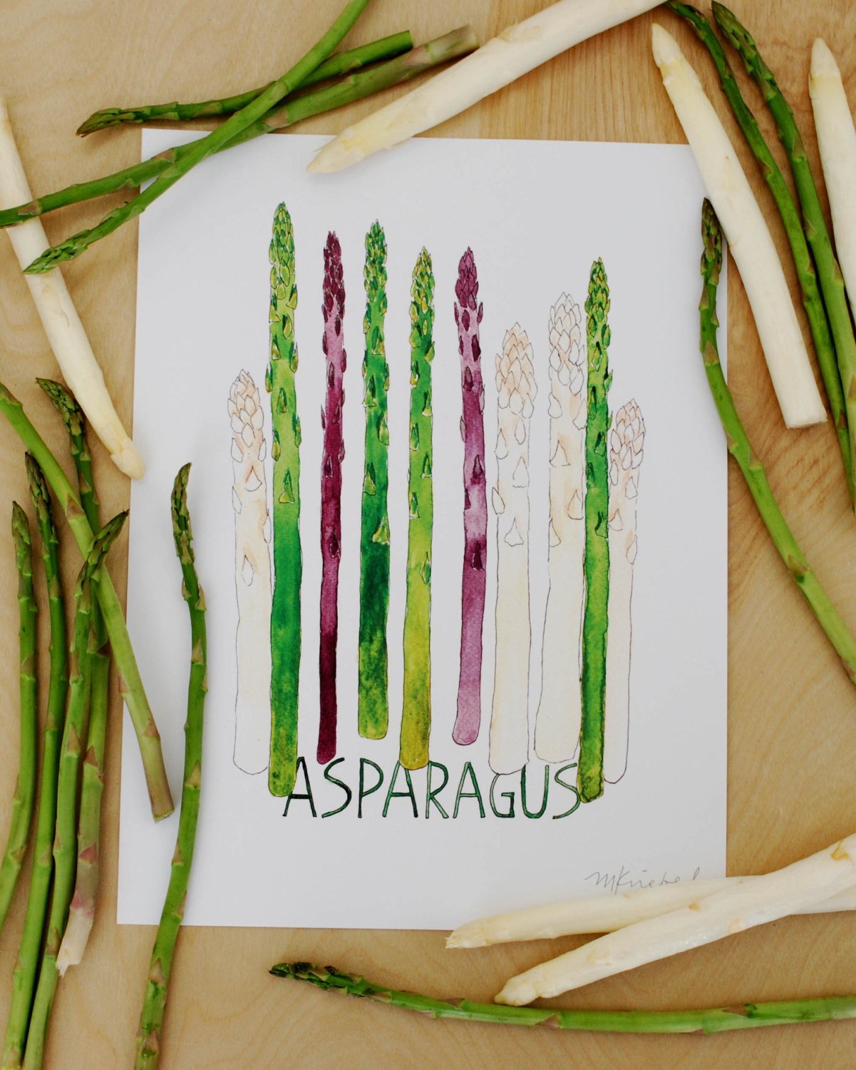 Different Types of Asparagus Illustrated Watercolor Art Print | Etsy